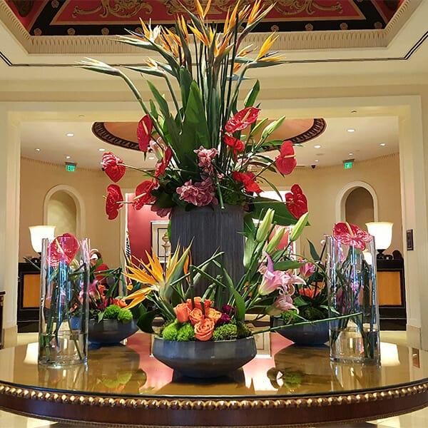 Hotels - Flowers & Fancies - Flowers & Fancies