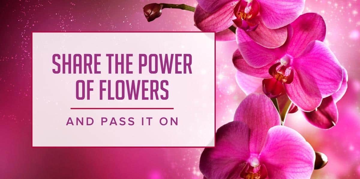 How to Send Your Best Friend a Flower Arrangement "Just Because ...