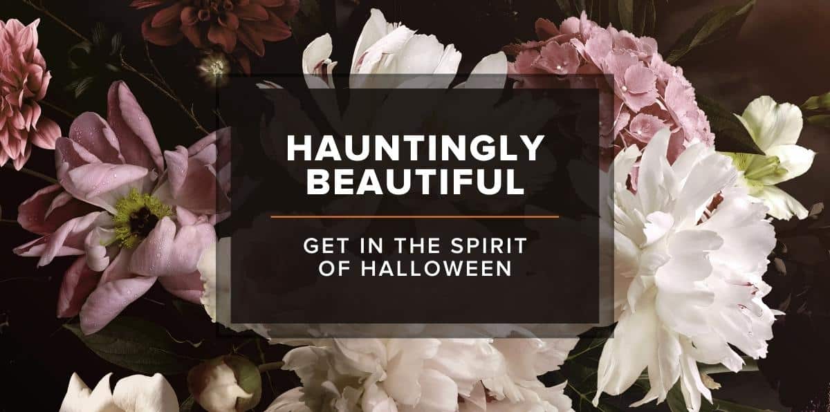 Spooky Flower Designs for Your Haunted House - Flowers & Fancies ...